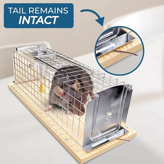 Lexium Muizenval - Muizenvallen - Muizenvallen Voor Binnen - 4 Stuks | bol