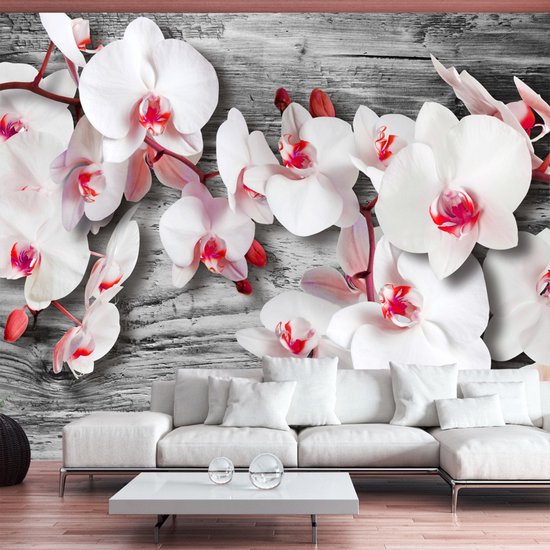 Fotobehangkoning - Behang - Vliesbehang - Fotobehang - Callous orchids - Orchideeën -... | bol.com
