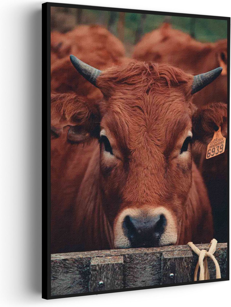 Tableau Acoustique The Branded Bulls Rectangle Vertical Pro L (72 X 100 ...