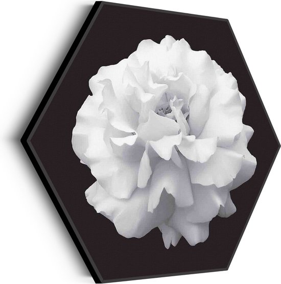 Akoestisch Schilderij Witte Anjer Hexagon Basic XL (140 X 121 CM ...