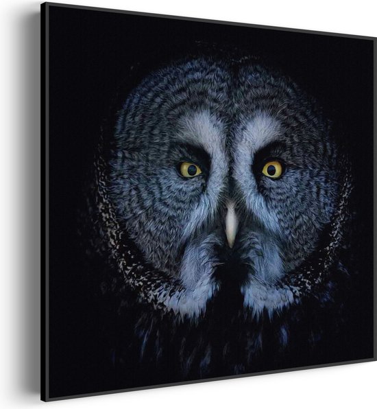 Akoestisch Schilderij Uil Hoofd Close Up Vierkant Basic L (80 X 80 CM ...