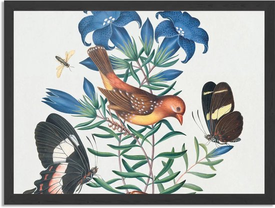 Poster Prent Natuur Vogel en Bloemen 02 Rechthoek Horizontaal Met Lijst ...