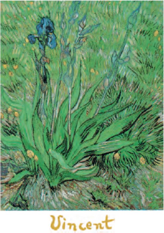 Mini kunstposter - Vincent van Gogh - Irissen - 24x30 cm | bol