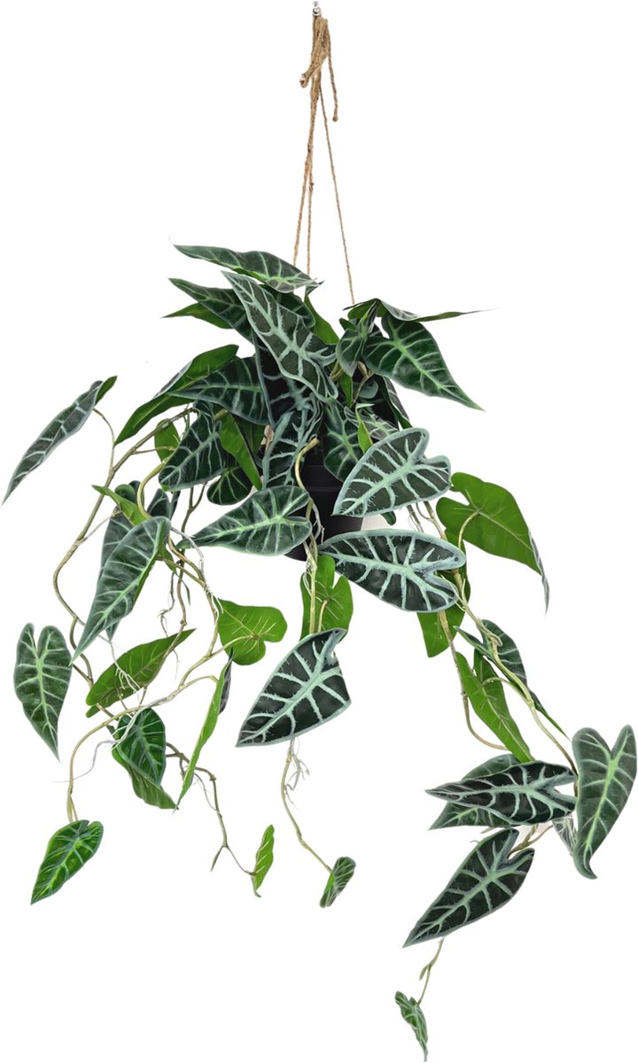 Caladium Kunst Hangplant 95cm | Hangende Kunstplant | Kunstplant voor ...