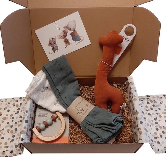 Muizenkindjes - Cadeaupakket baby - Roest | bol