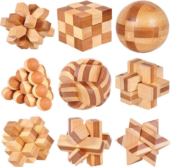 DiverseGoods 9 Stuks Houten Brain Puzzels Set - Logica Puzzels Logica ...