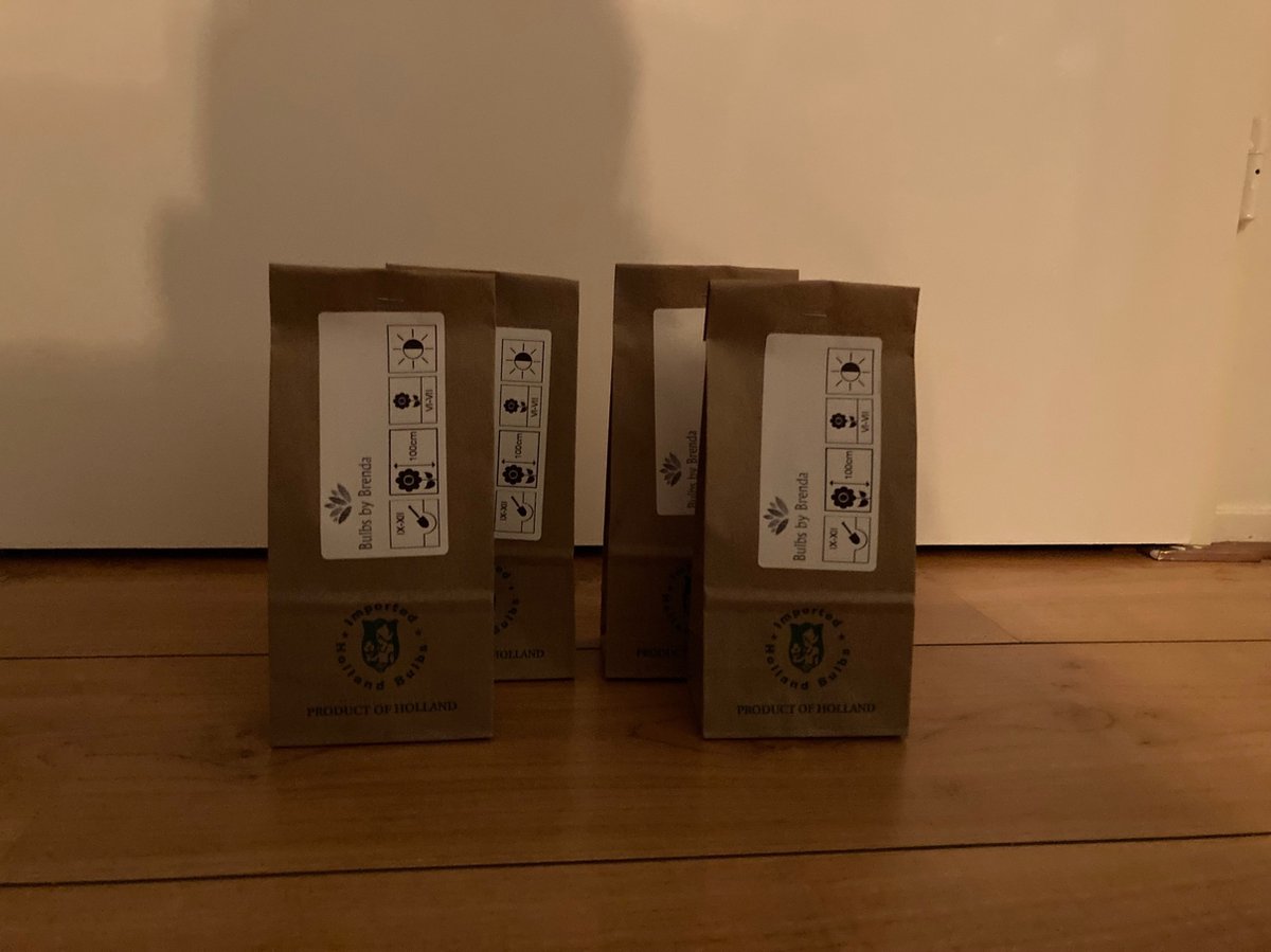 Bulbs by Brenda - Tuingereedschap set 4 stuks - schepje - harkje ...