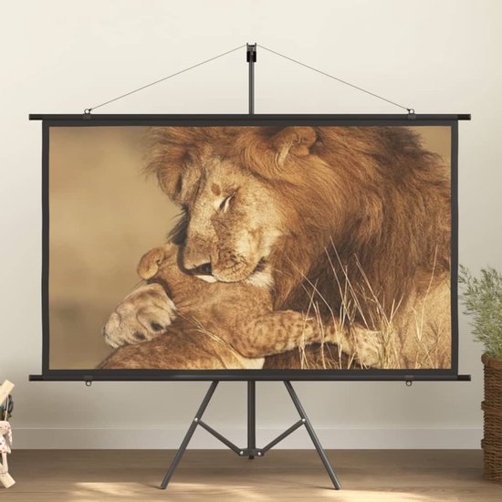 ST Brands - Projectscherm - Met Standaard - 72 Inch | bol