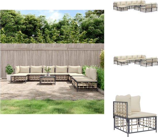 vidaXL Loungeset - Loungesets - Tuinset - Tuinbank - 10-delige ...