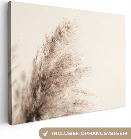 Canvas schilderij 160x120 cm - Wanddecoratie Planten - Pampas pluimen - Pampasgras -... | bol