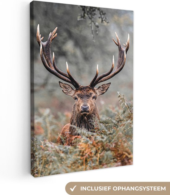 Canvas schilderij 90x140 cm - Wanddecoratie Hert - Natuur - Herfst ...