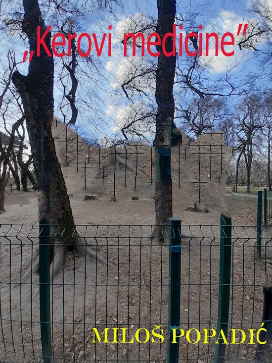„Kerovi medicine” (ebook), Miloš Popadić | 9781005316143 | Boeken | bol