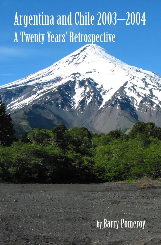 Argentina and Chile 2003–2004: A Twenty Years’ Retrospective (ebook ...