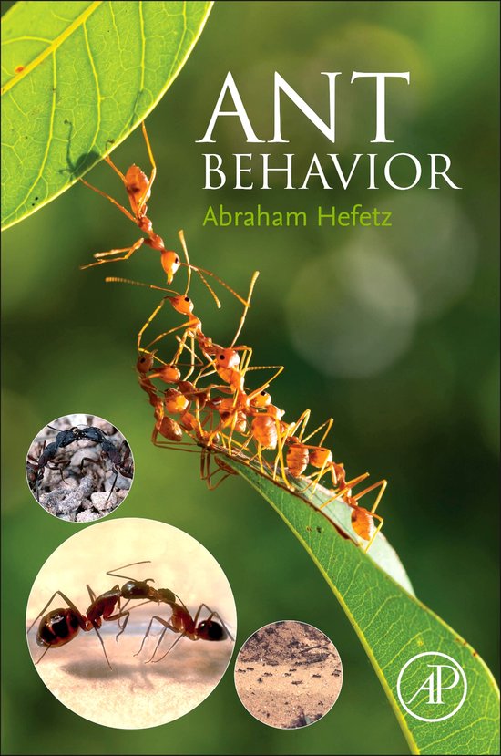 Ant Behavior, Abraham Hefetz | 9780443161087 | Boeken | bol