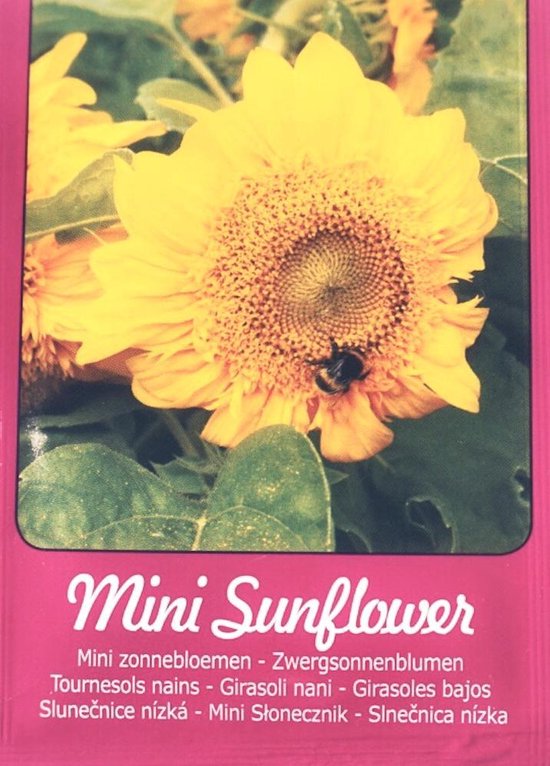 3 x Bloemenzaden |Zaadjes Bloemen | Planten Tuin |Eenjarige Bloeiers ...