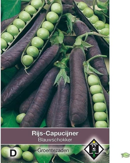 Van Hemert - Hoge Kapucijner, Rijs-Capucijner Blauwschokker | bol