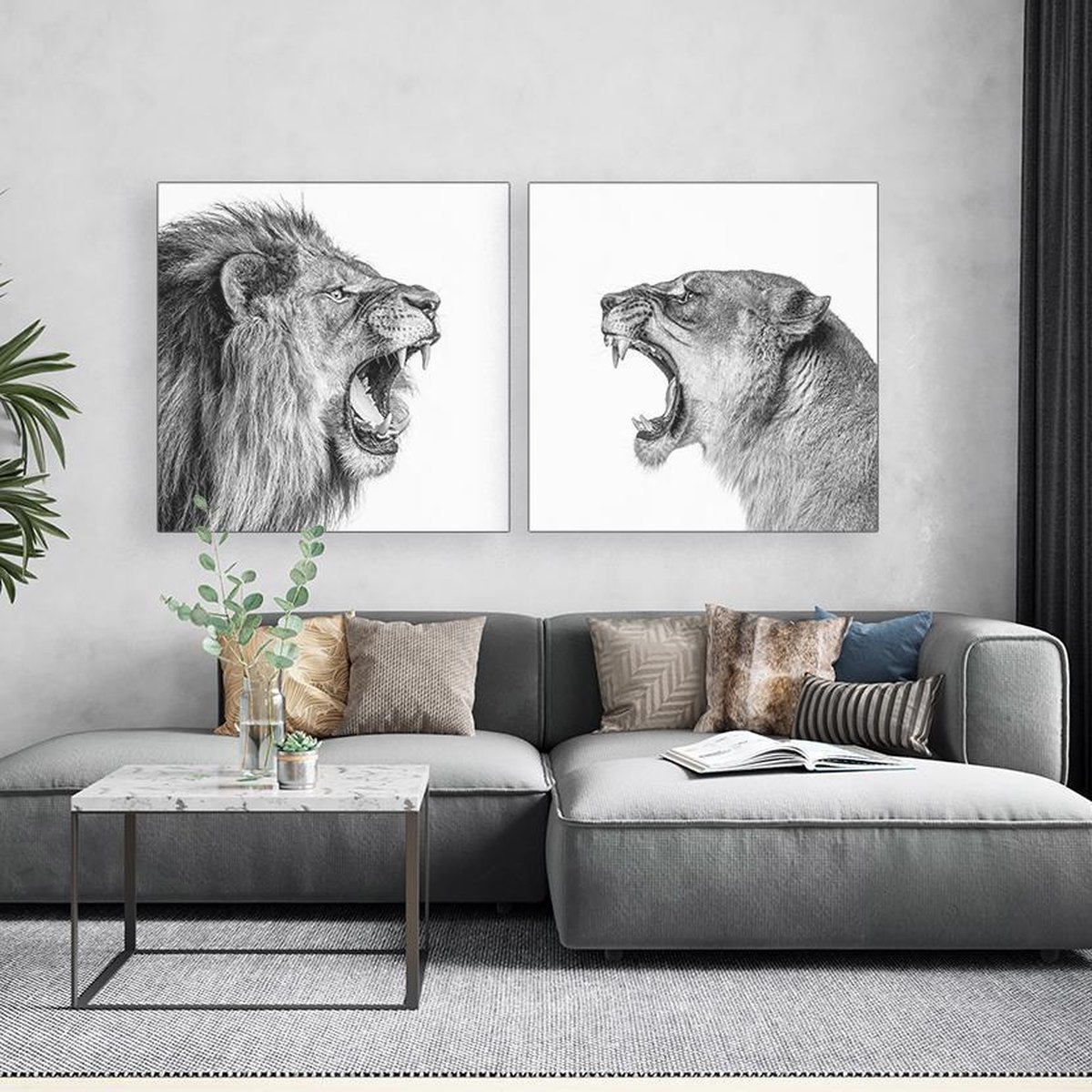 Lion et Lionne White sur métal Dibond | 60 x 60 cm | PosterGuru.nl ...