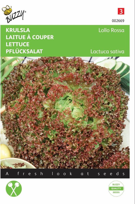 2 stuks - Buzzy - Krulsla Lollo Rossa | bol