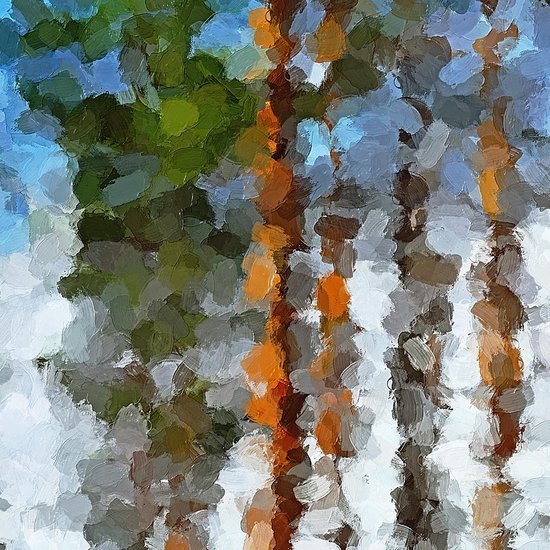 Graphic Message - Schilderij op Canvas - Scandinavië - Bomen - Landschap - Abstract | bol