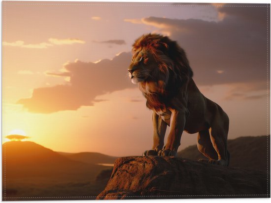 Vlag - Leeuw op Rots met Zonsondergang - 40x30 cm Foto op Polyester ...