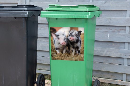 Container sticker Varken - Dieren - Varkentje - 40x40 cm - Kliko ...