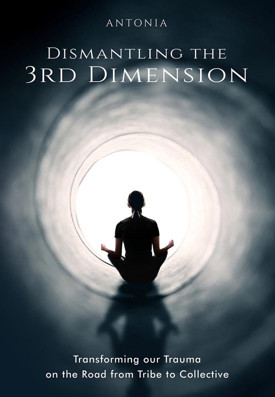 Dismantling the 3rd Dimension (ebook), Antonia | 9781738981519 | Boeken ...