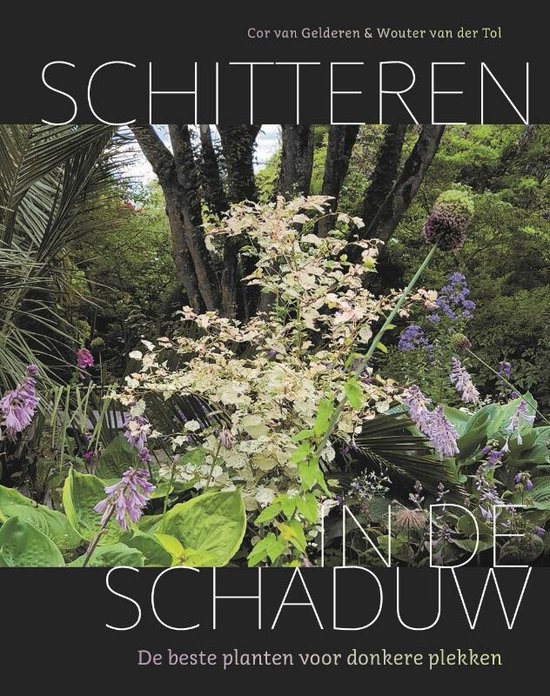 Schitteren in de schaduw, Wouter van der Tol | 9789464711097 | Boeken | bol