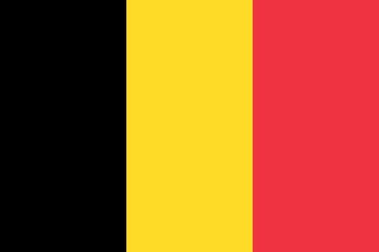 Belgische Vlag 40x60cm | bol.com