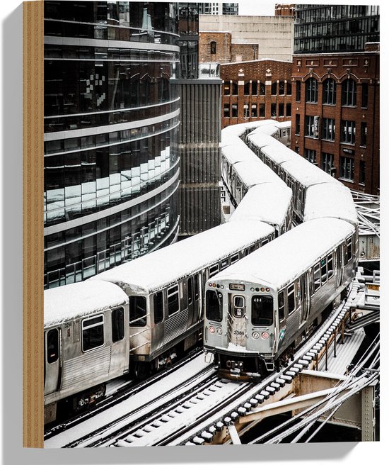 Hout - Treinen over Treinrails door de Stad - 30x40 cm - 9 mm dik ...