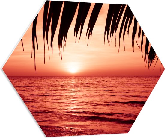 PVC Schuimplaat Hexagon - Palmbladeren Hangend boven Zee met Rode Gloed ...