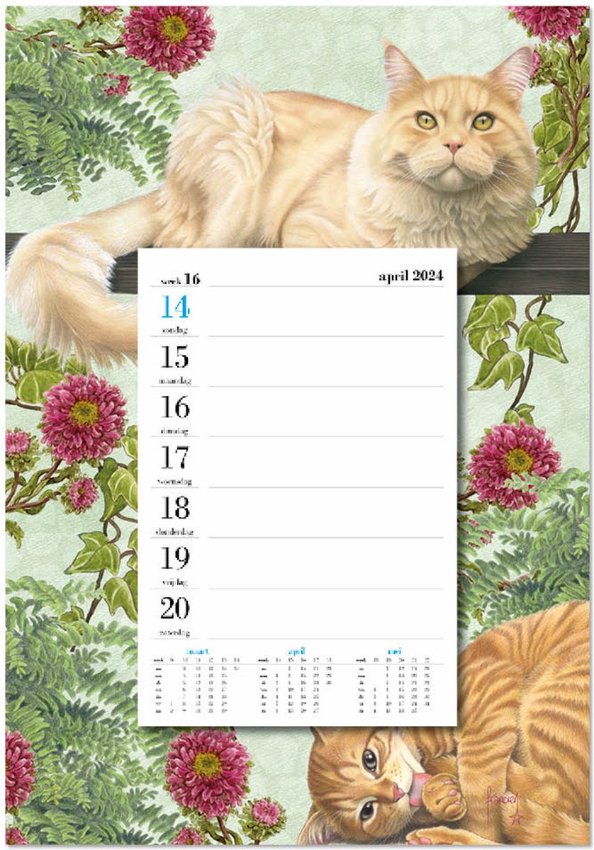 Franciens Katten Weekkalender op schild Groene Oase 2024 | bol