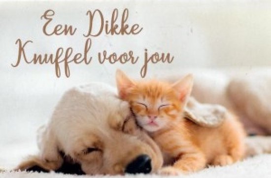 Een dikke knuffel voor jou! Een schattige kaart met een hond en een kat ...