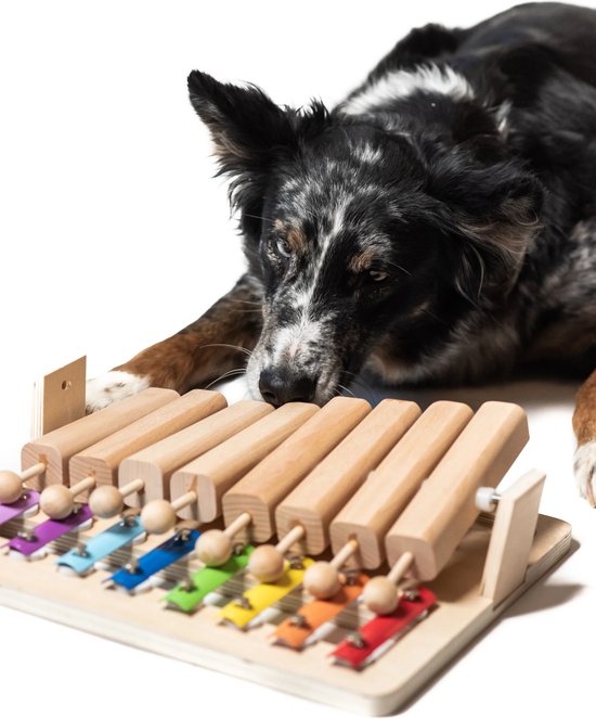 Hondenpuzzel-hondenspeelgoed-honden-hondenspeeltjes-My Intelligent Dogs ...