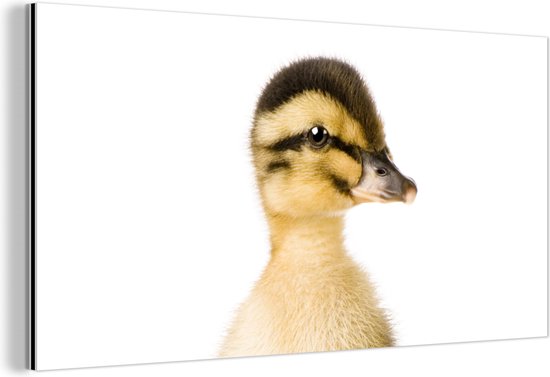 Eend - Geel - Dieren - Natuur | bol.com