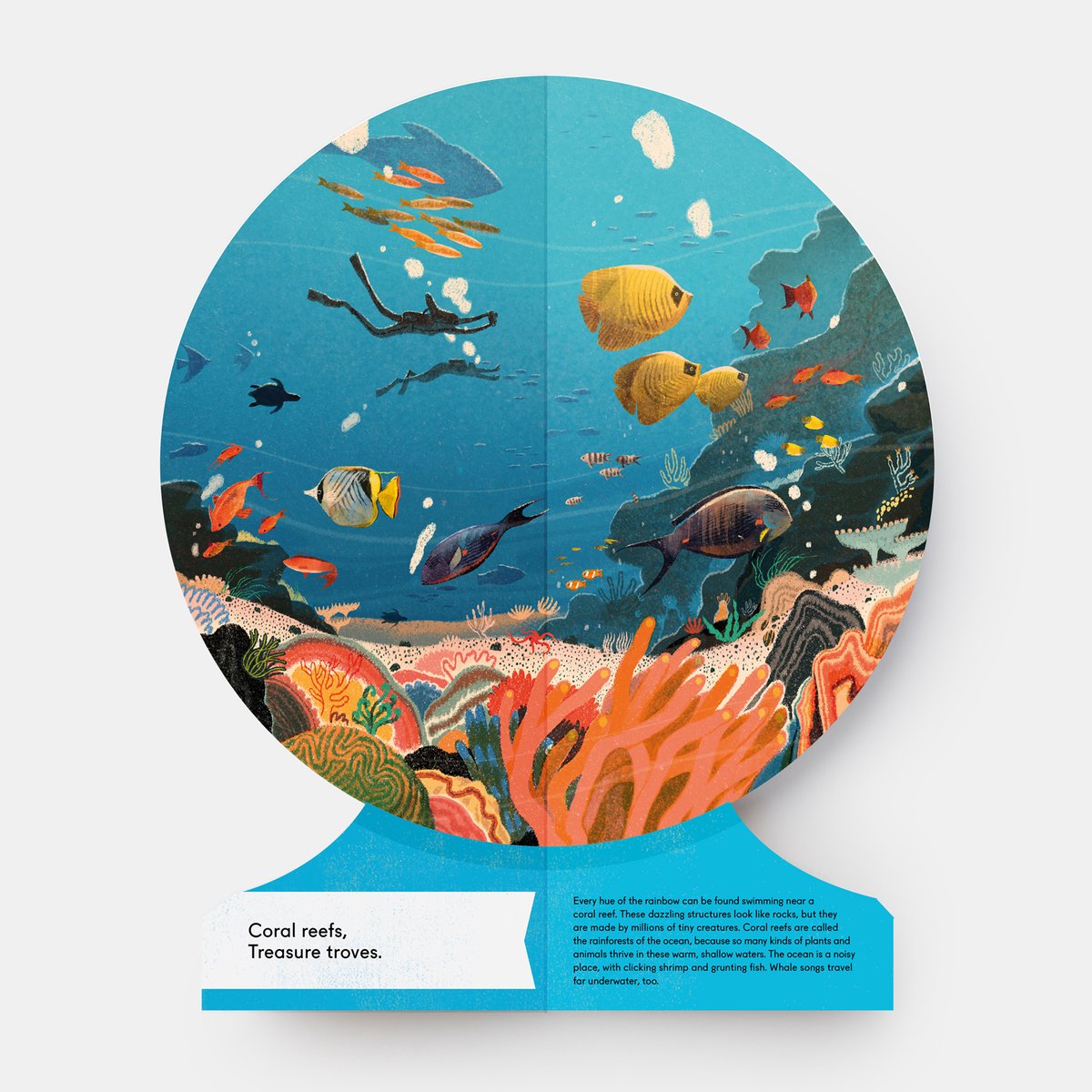 Our Underwater World, Sue Lowell Gallion | 9781838667009 | Boeken | bol.com