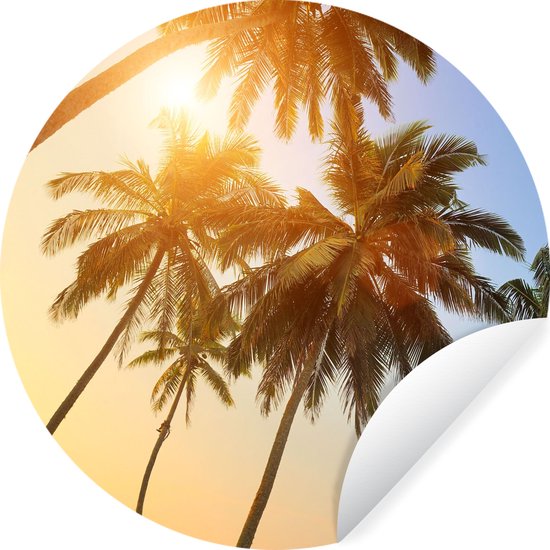 WallCircle - Muurstickers - Behangcirkel - Palmboom - Zon - Zomer - Tropical - ⌀ 120... | bol