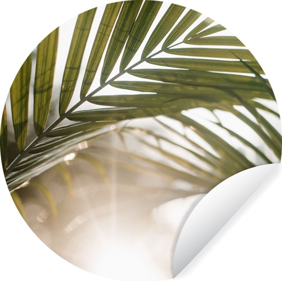 WallCircle - Muurstickers - Behangcirkel - Palmboom - Palmblad - Zon - Zomer - 100x100... | bol
