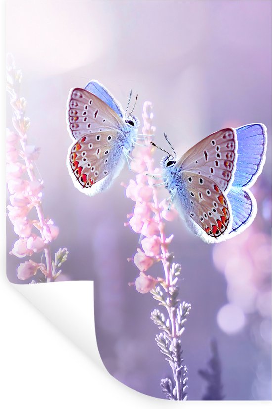 Muurstickers - Sticker Folie - Vlinder - Lavendel - Bloemen - Paars ...