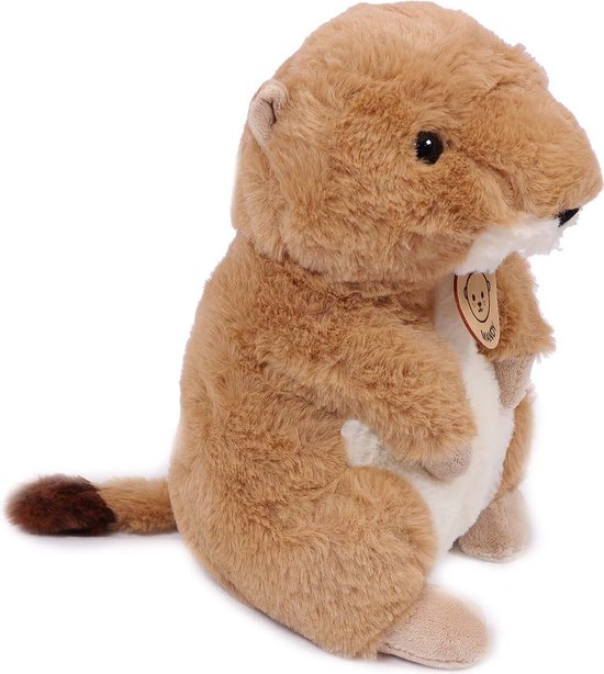 Prairiehond (Mandy) 22 cm | bol