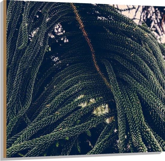 Hout - Bomen - Planten - Bladeren - Hout - Natuur - 100x100 cm - 9 mm ...