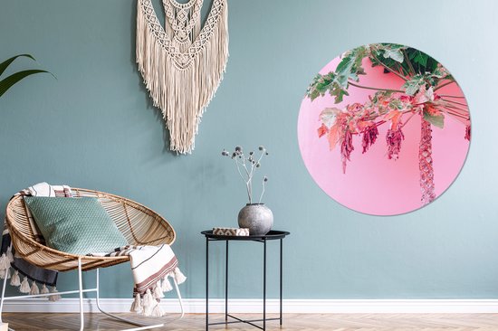 WallCircle - Muurstickers - Behangcirkel - Palmboom - Tropisch - Roze - Zomer -... | bol.com