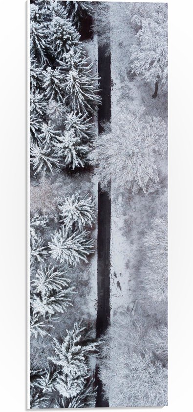 PVC Schuimplaat - Pad - Boog - Bloemen - Planten - Bomen - 20x60 cm ...