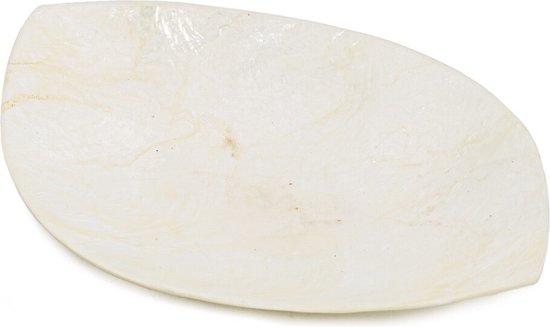 Schaaltje schelp ovaal wit | bol