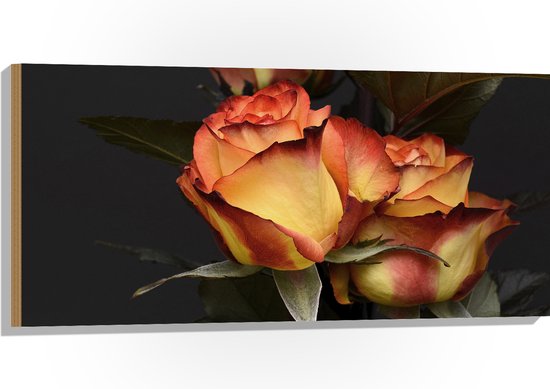 Hout - Roos - Bladeren - Bloem - Plant - Rood - Oranje - Geel - 100x50 ...