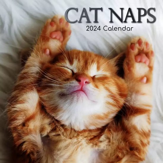 Cat Naps Kalender 2024 | bol.com