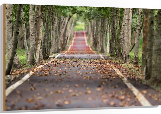 Hout - Pad - Bomen - Gras - Bladeren Bossen - Herfst - 120x80 cm - 9 mm ...