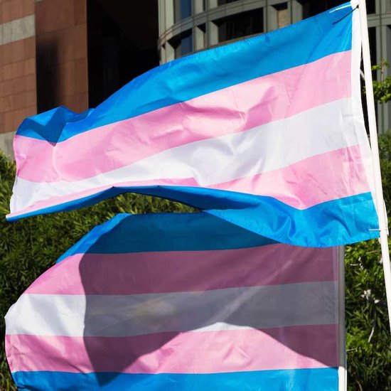 Transgender vlag - 90 x 150 cm - Pride Vlag - LHBTI+ - The Gay Way | bol.com