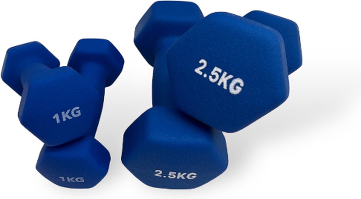 Padisport - Dumbell Neopreen set 1 en 2,5 - Krachttraining - blauw ...