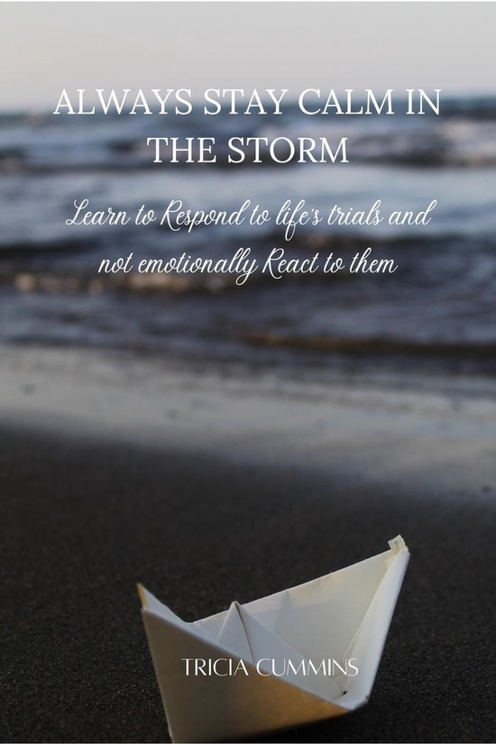 Always Stay Calm in the Storm (ebook), Tricia Cummins | 9798223514626 ...