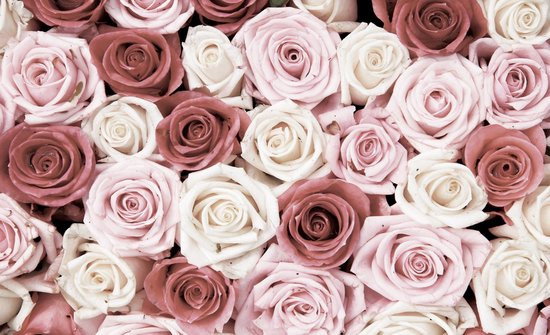 Poster | Roze | 104 x 70,5 cm | bol